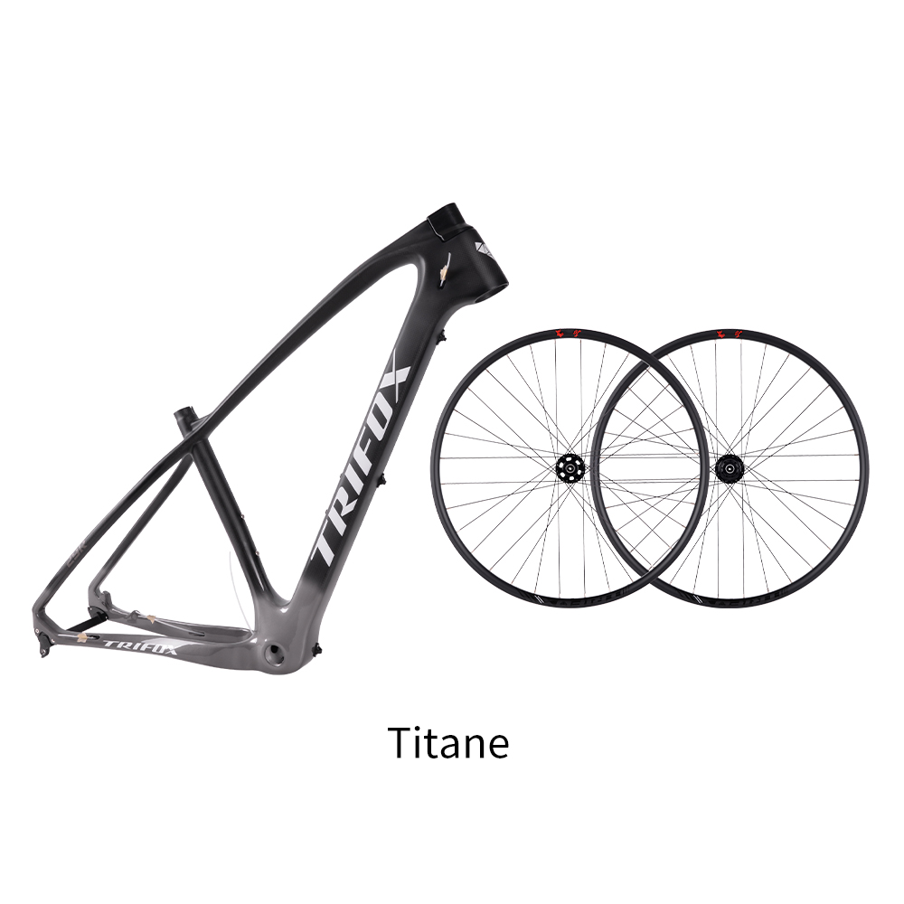 Hardtail MTB Frame & Wheels MFM200